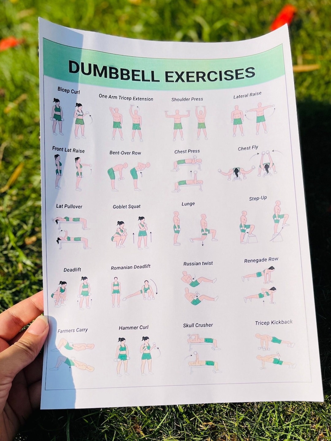 Free Printable Dumbbell Exercise Chart - Printable Chart Template